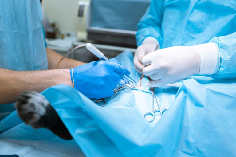 Hirurgija – VetasDar